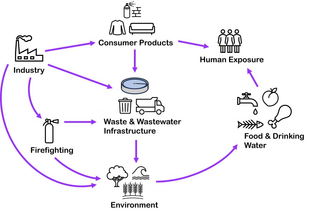 Forever Chemicals - PFAS (Part 1) - Wasser 3.0
