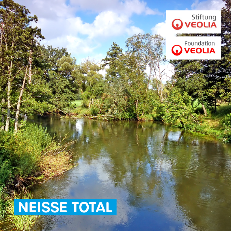 EU Pellet Loss Regulation - Wasser 3.0