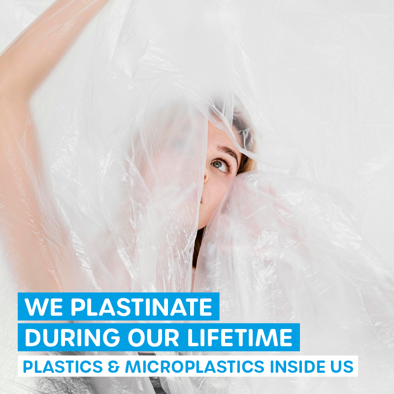 Plastification of our body during our lifetime - Wasser 3.0