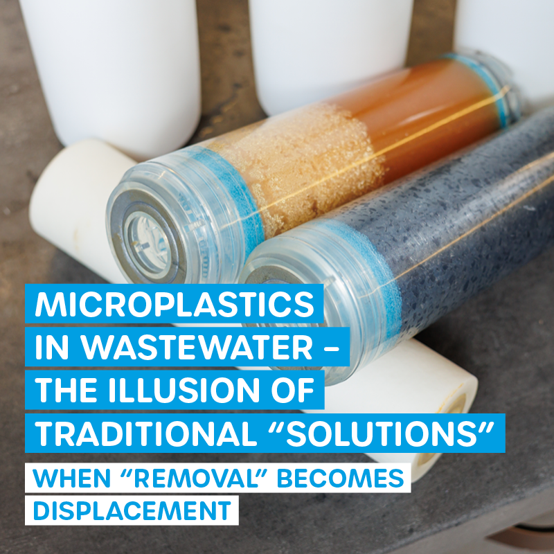 The Microplastics Fate Paradox - Wasser 3.0