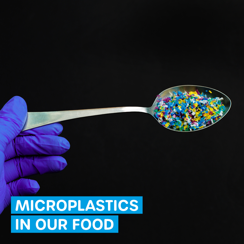 Longevity of Plastics - Wasser 3.0